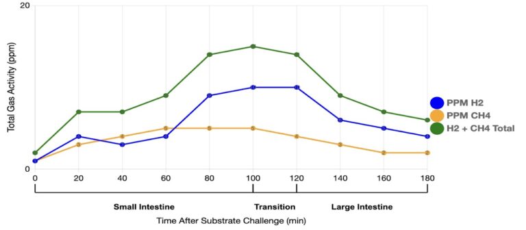 Common Breath Test Results Part 1: SIBO - Neurovanna