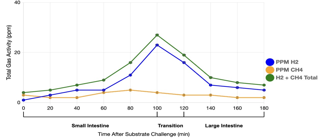 Common Breath Test Results Part 1: SIBO - Neurovanna