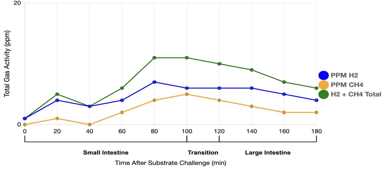 Common Breath Test Results Part 1: SIBO - Neurovanna