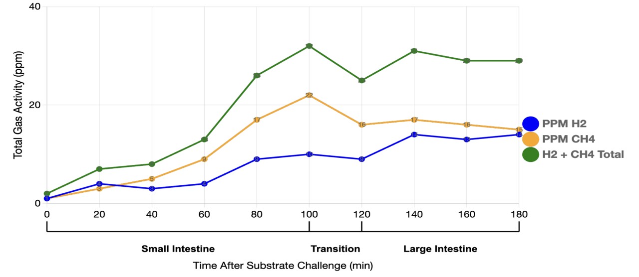 Common Breath Test Results Part 1: SIBO - Neurovanna